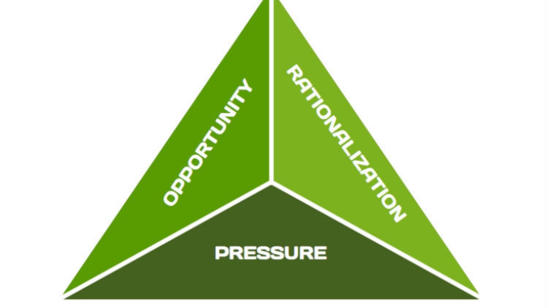 Profiling And Understanding Fraudsters: The Fraud Triangle